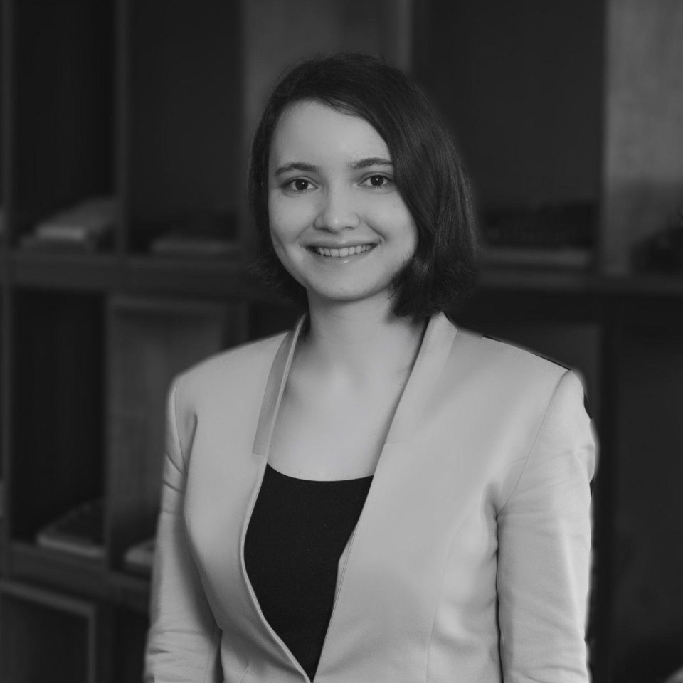 Team | Gokce Attorney Partnership